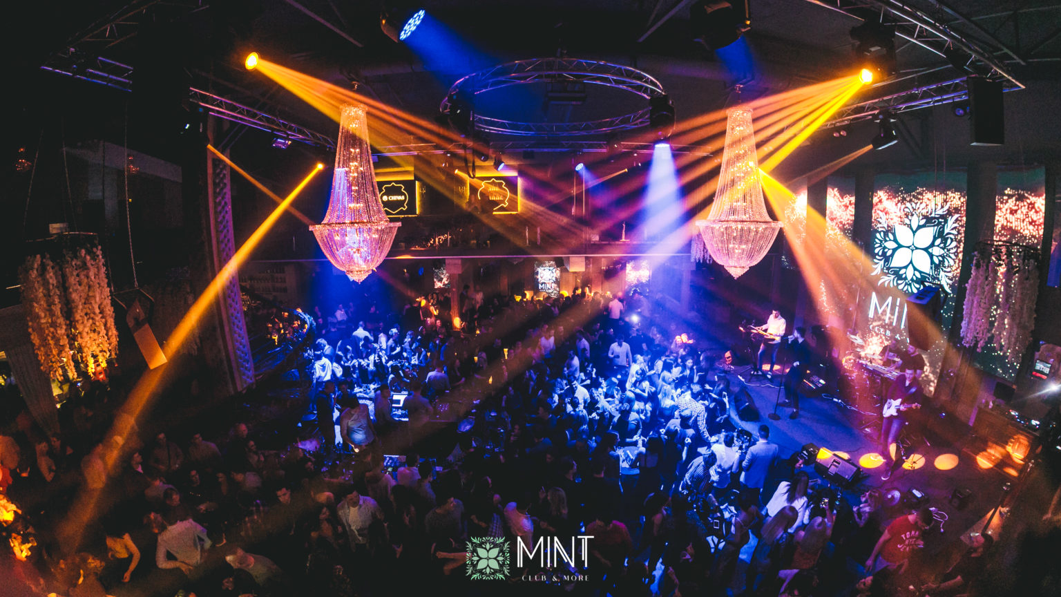 MINT – club & more